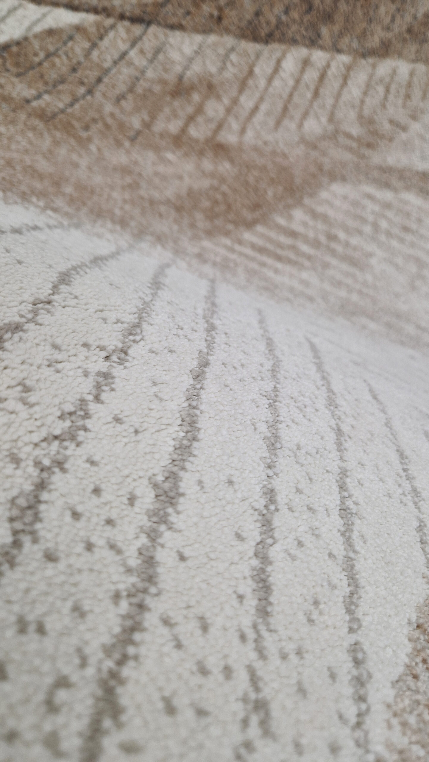 SAGA 37EHE SINTELON TEPIH - GreenLux